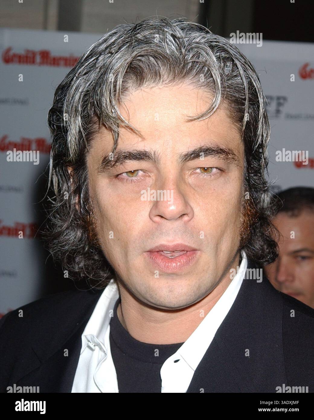 Oct 19, 2003; New York, NY, USA; Actor BENICIO DEL TORO at the premiere ...
