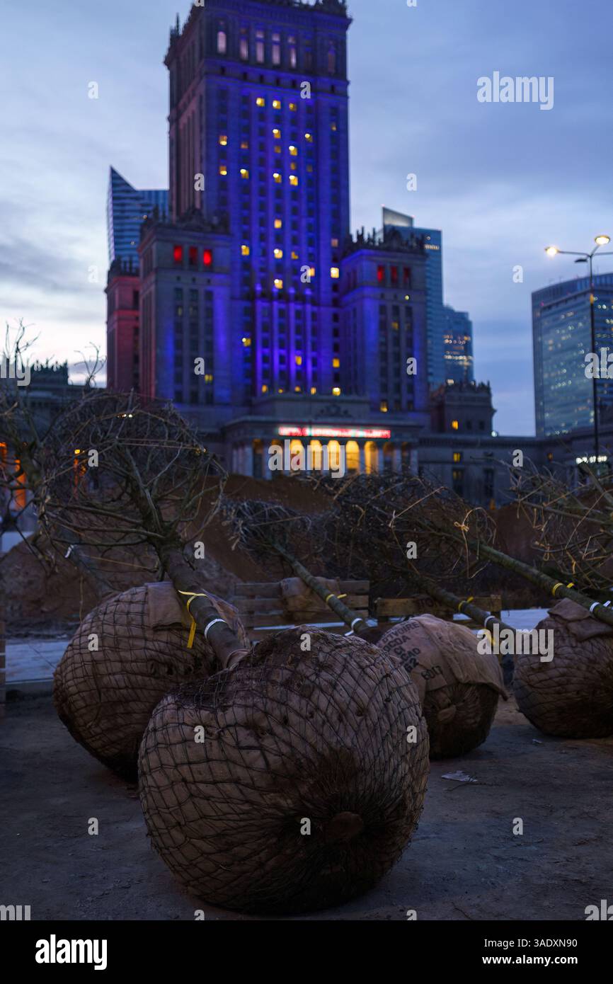 Warsaw, Poland. January 27, 2025 - Trees awaiting planting outside the ...