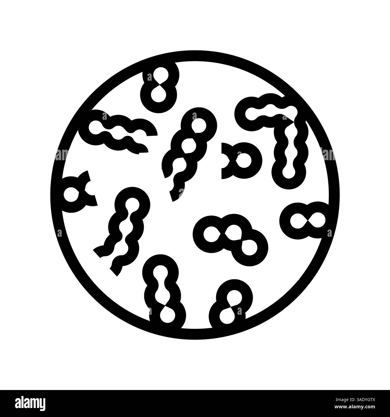 Lactococcus black line icon for digital and print projects. Microscopic ...