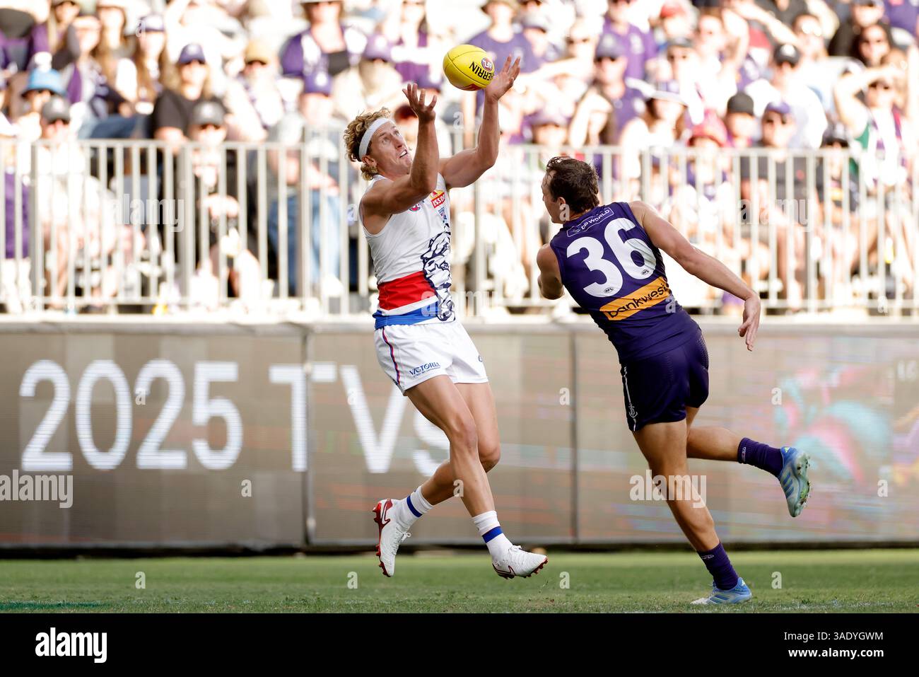 Perth, Australia. 06th Apr, 2025. Aaron Naughton of the Bulldogs marks ...