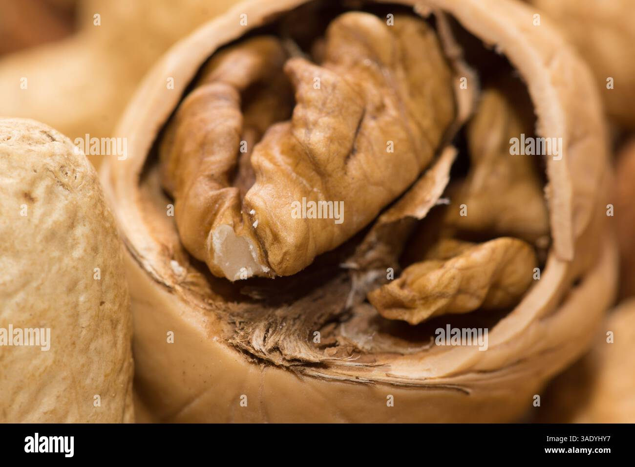 Closeup view of mixture of different types of tree nuts in the shells ...