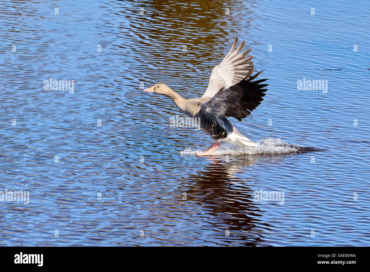 High angle flying down lake hi-res stock photography and images - Alamy