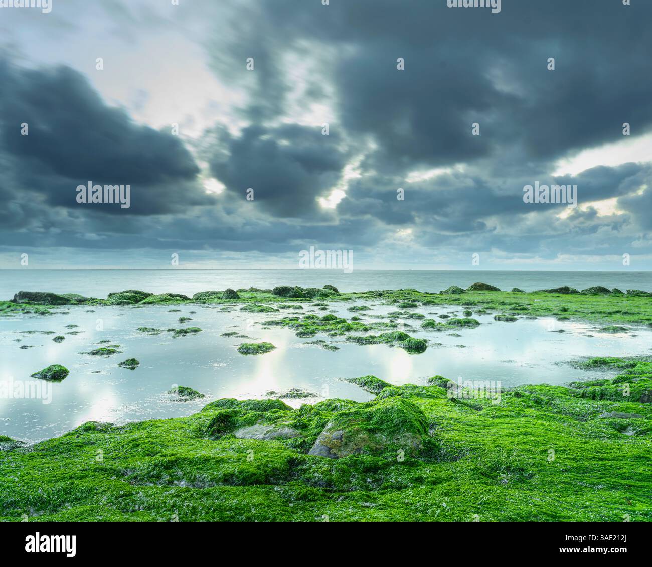 Rocks on the zeeland coast of the netherlands hi-res stock photography ...