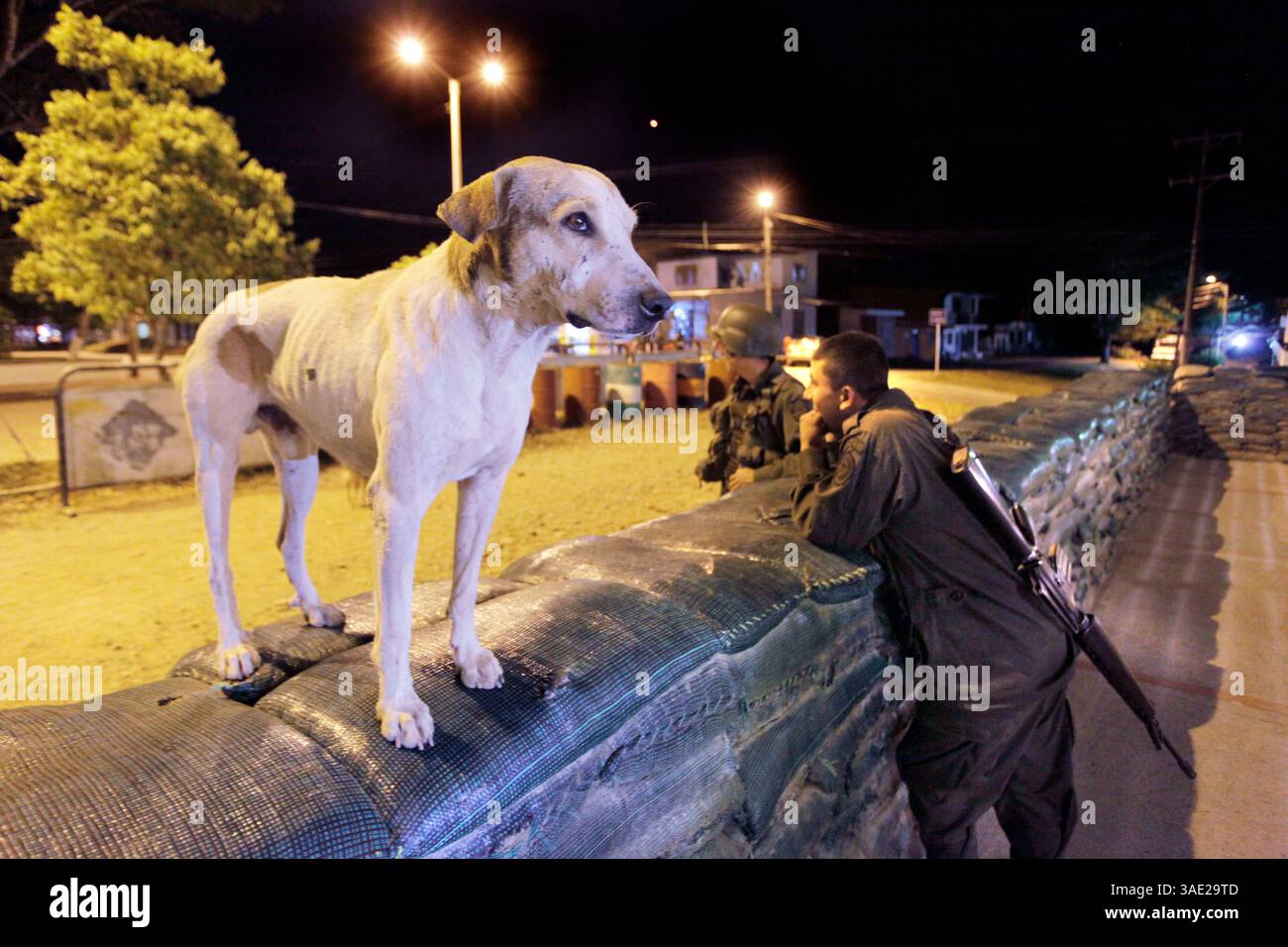 Jan. 31, 2012 - Mesetas, Meta, Colombia - Mesetas 27 de enero de 2012 ...
