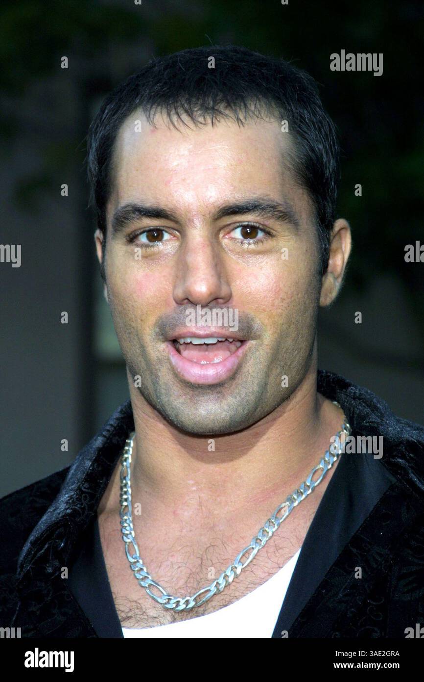 Jul 20, 2001; Pasadena, California, USA; Actor JOE ROGAN @ the TCA ...