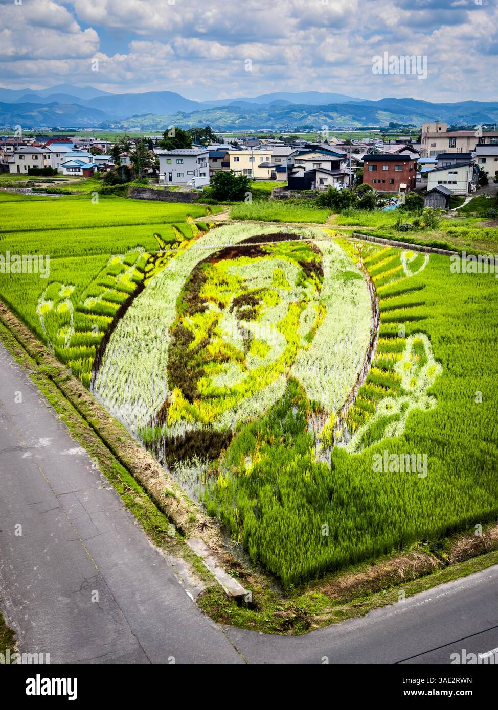 rice field art Inakadate Village Observatory, in Aomori, Japan. High ...
