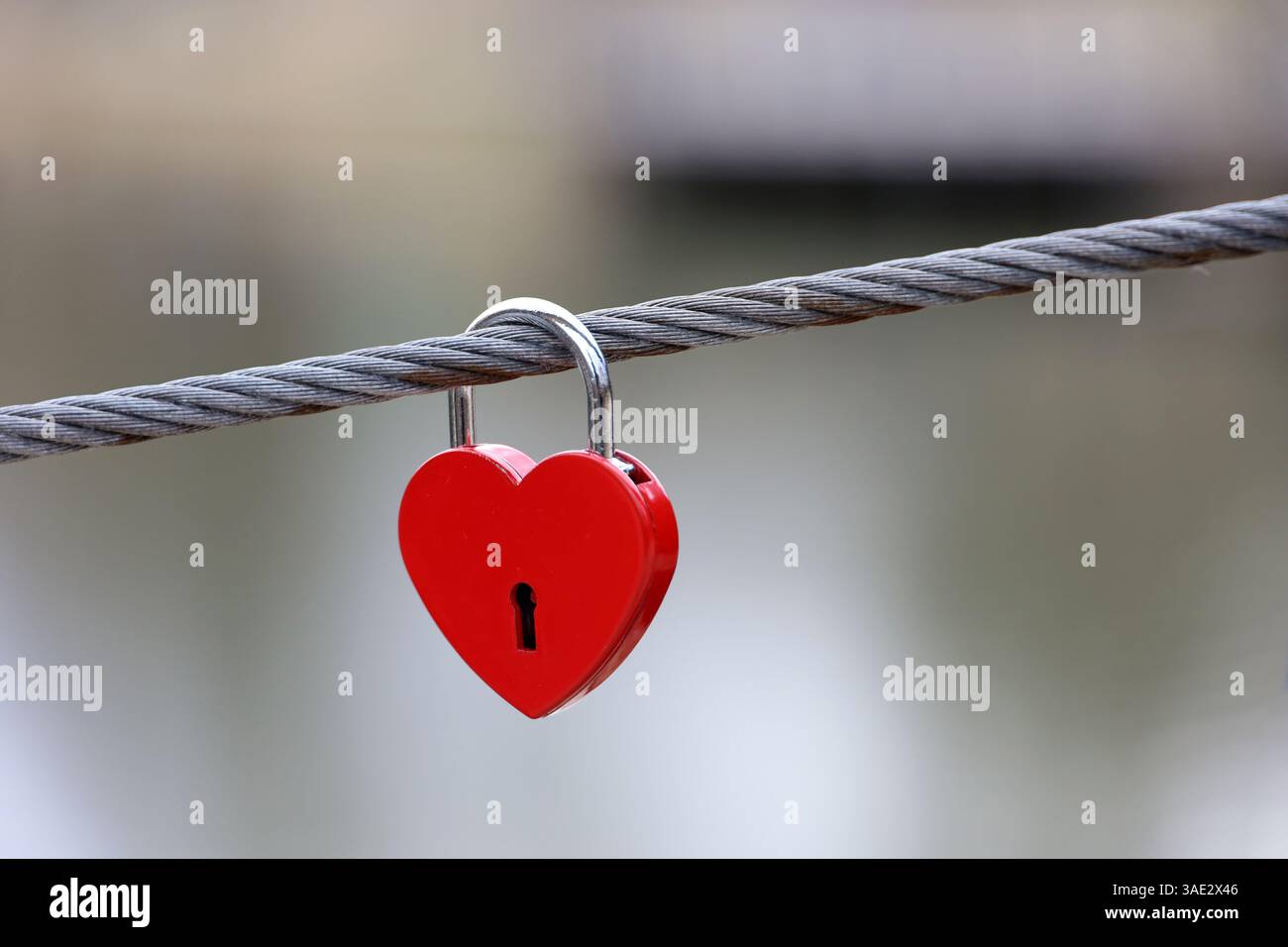 Padlock in heart shape. Lock hanging in a river bridge, symbol of ...