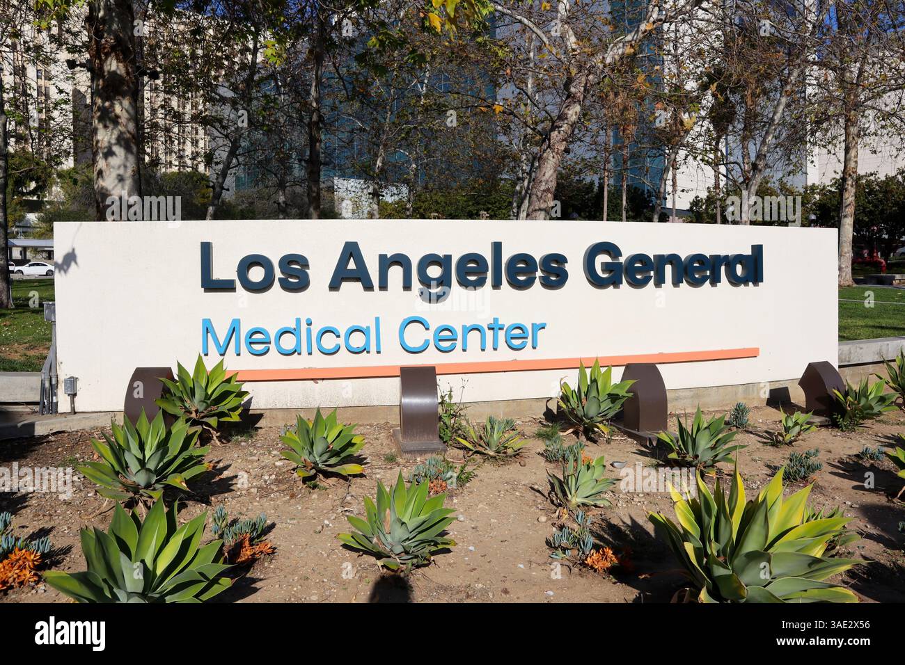 Los Angeles, California: Los Angeles General Medical Center Hospital ...