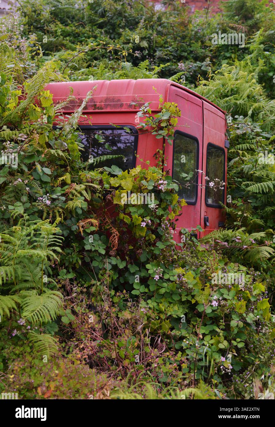 Overtaken by nature hi-res stock photography and images - Alamy