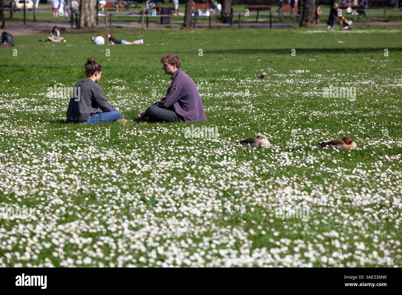 UK weather, 6 April 2025: On Clapham Common as the sun shines on Sunday ...