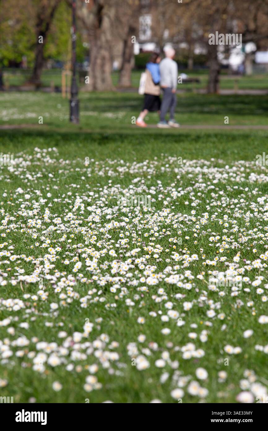 UK weather, 6 April 2025: On Clapham Common as the sun shines on Sunday ...