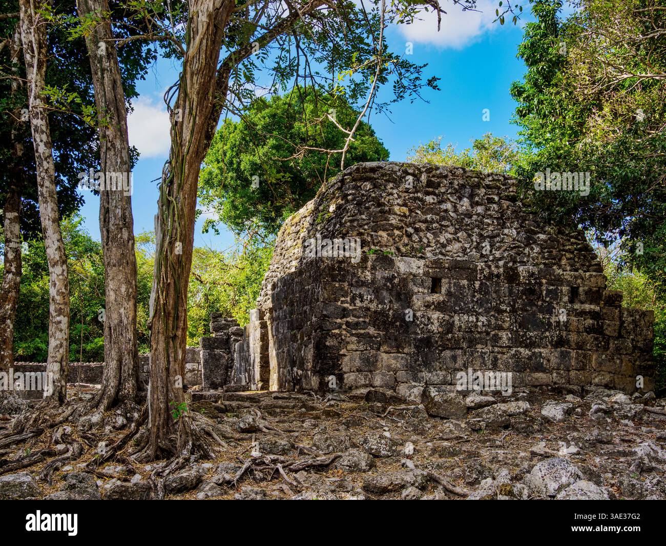 Temple of the Bats, San Gervasio Archaeological Site, Cozumel Island ...