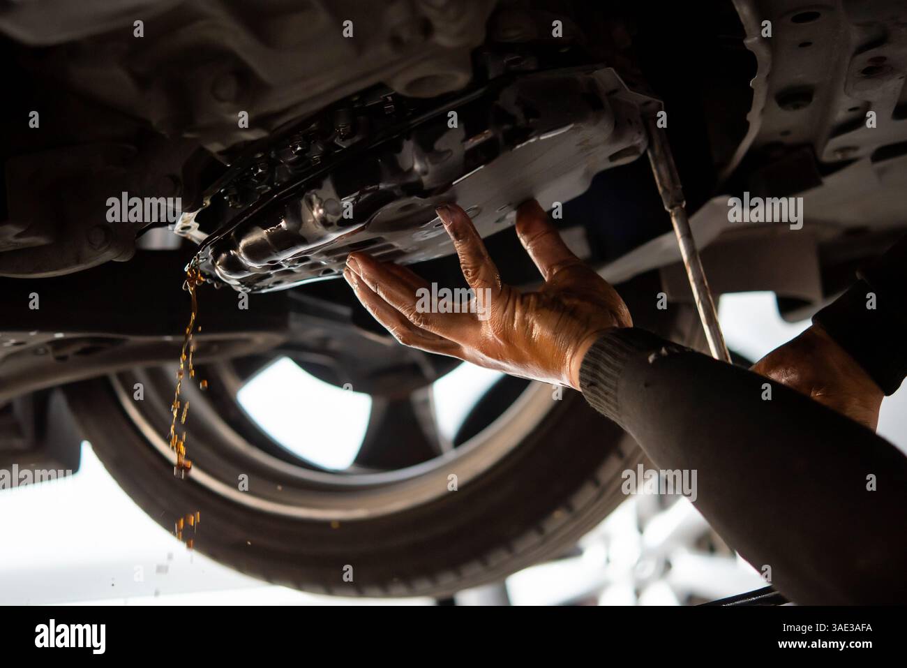 Car mechanic drain the old automatic transmission fluid (ATF) or gear ...