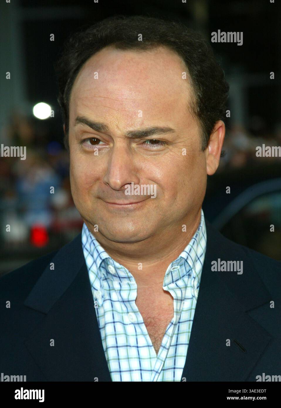 Apr 7, 2004; Hollywood, California, USA; Actor KEVIN POLLAK at 'The ...