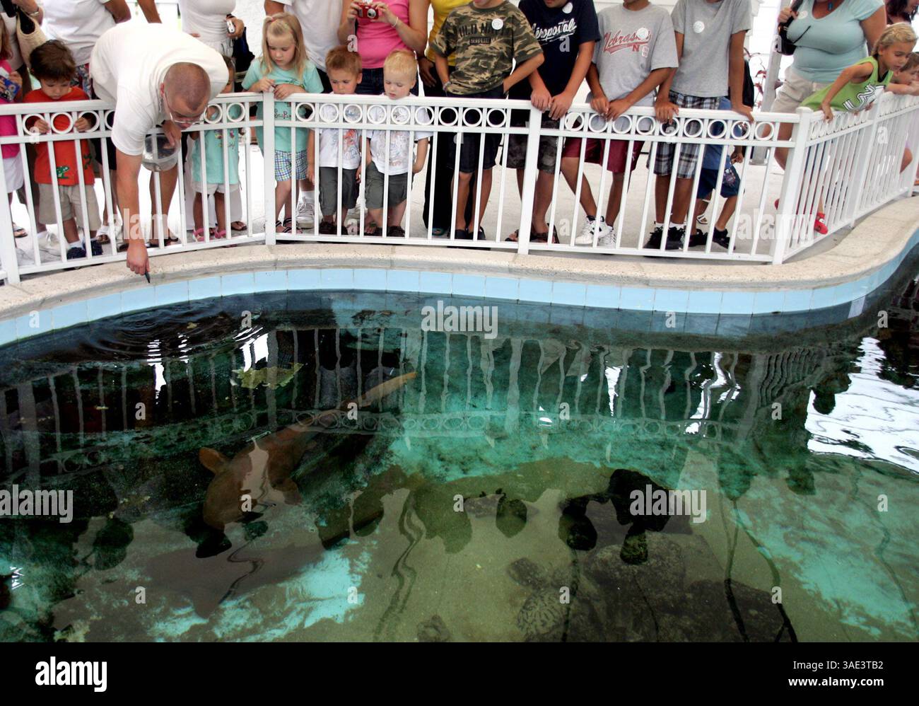 080609 met 2 shark 0065992A Meghan McCarthy/The Palm Beach Post ...