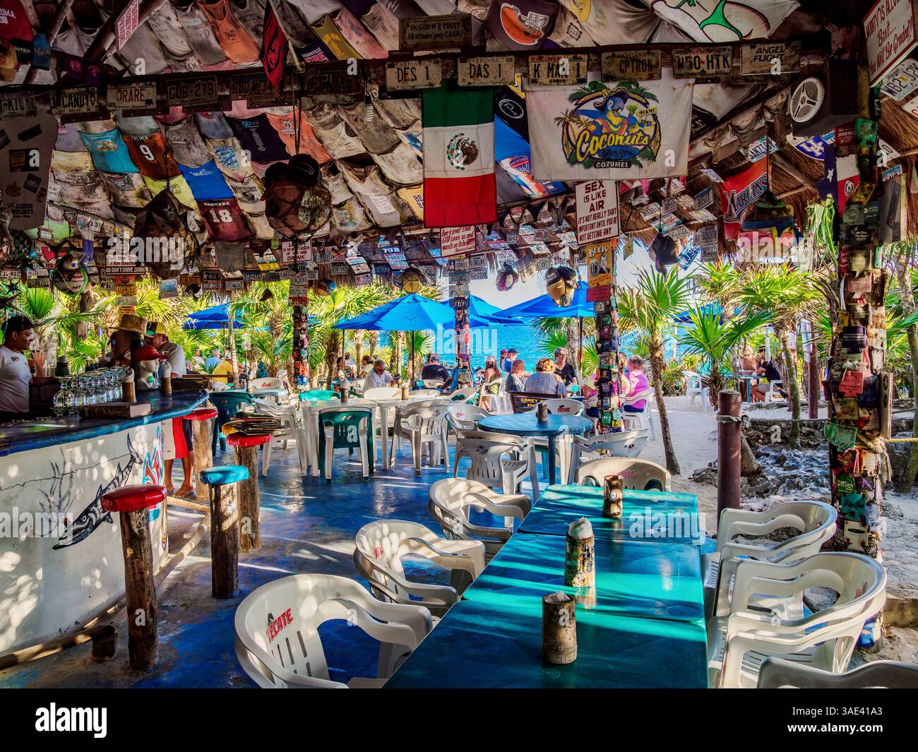 Coconuts Bar, Cozumel Island, Quintana Roo State, Mexico Stock Photo ...