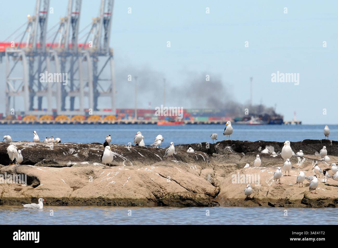 Bandera de uruguay hi-res stock photography and images - Alamy