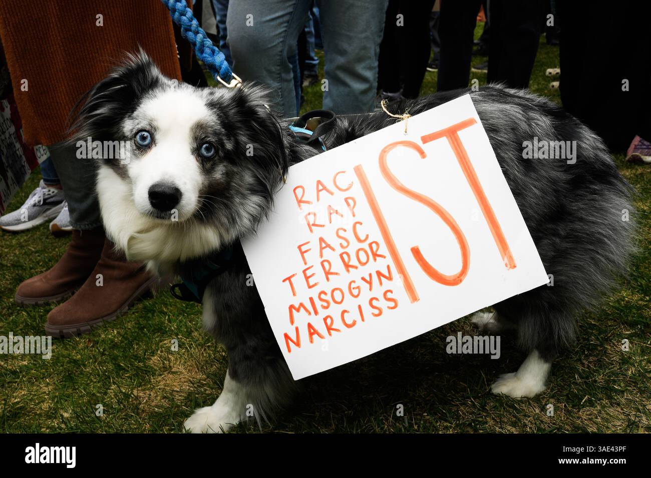 Madison, Wisconsin, USA. 5th Apr, 2025. An estimated seven thousand ...