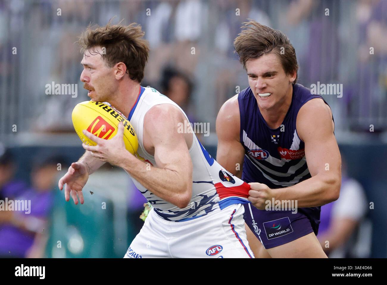 Perth, Australia. 06th Apr, 2025. Lachlan Bramble of the Bulldogs is ...