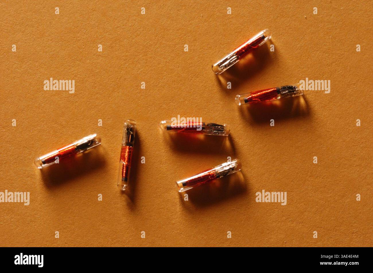 May 25, 2004; Fort Lauderdale, FL, USA; VeriChips that are the size of ...