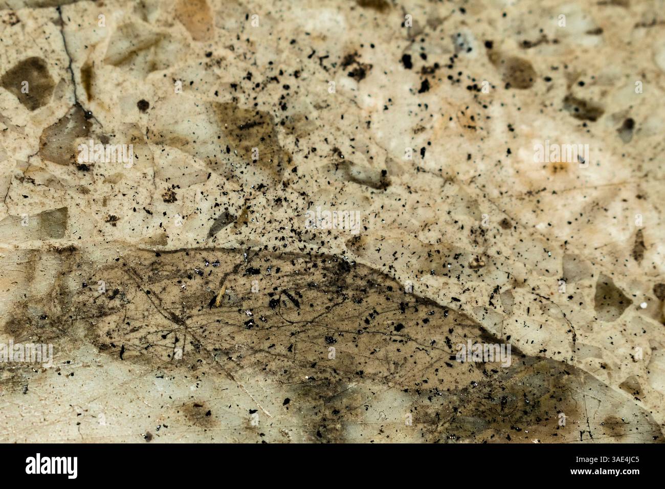 Background with dirty marble tiles floor Stock Photo - Alamy