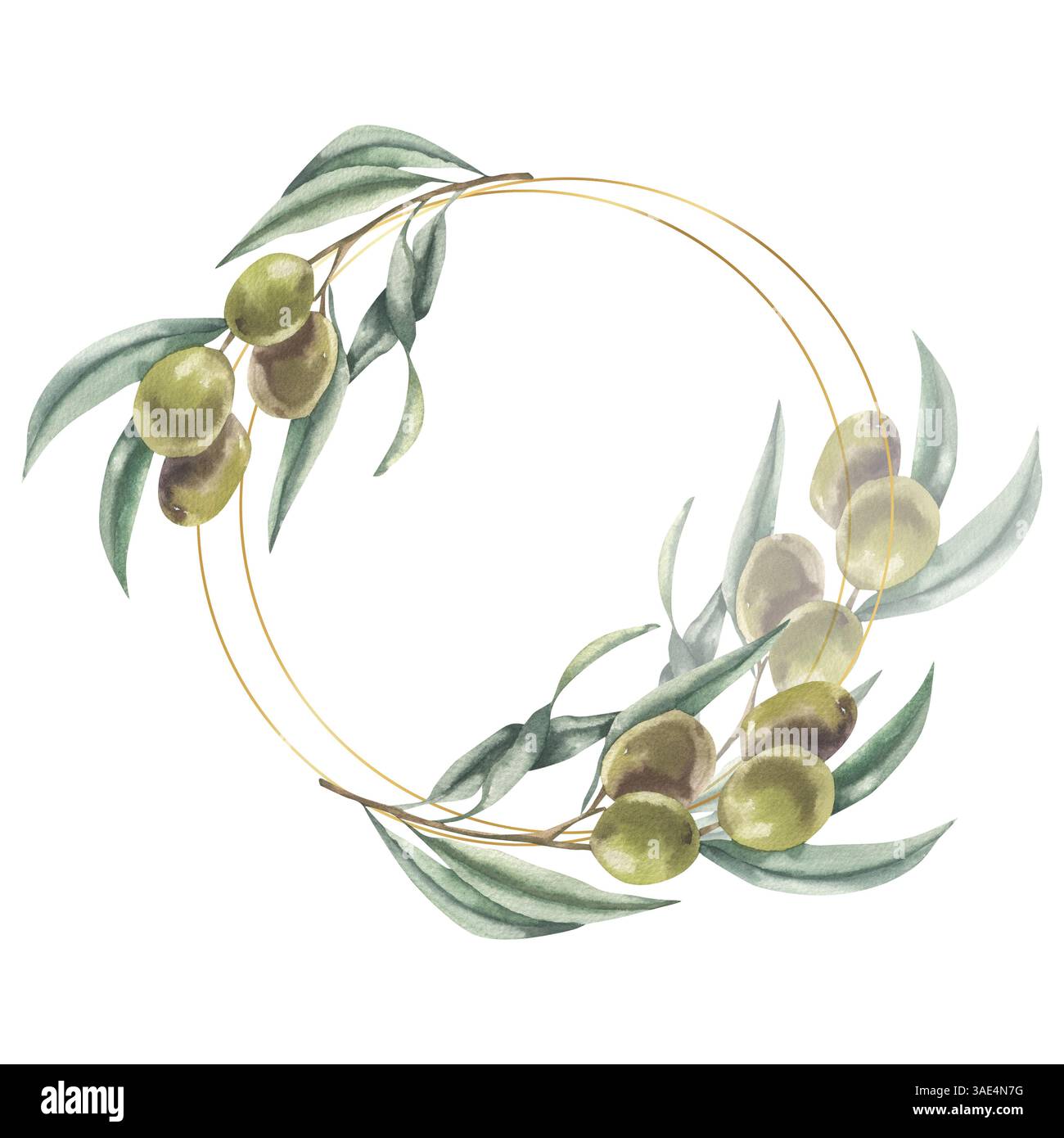 Olives floral golden wreath watercolor illustration. Isolated banner ...