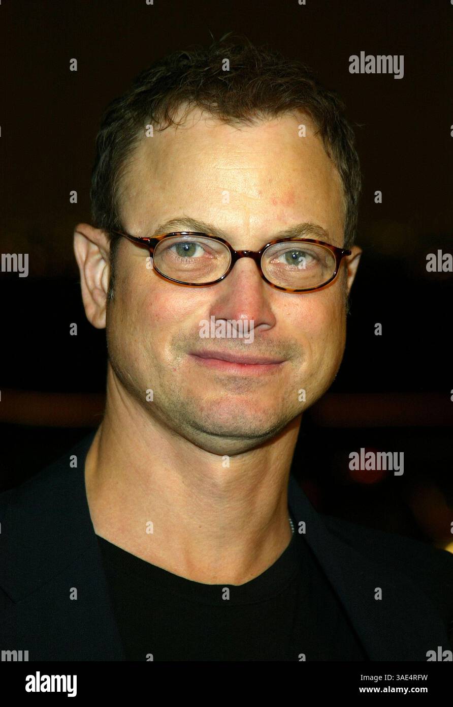 Jan 29, 2004; Westwood, CA, USA; Actor GARY SINISE at 'The Big Bounce ...