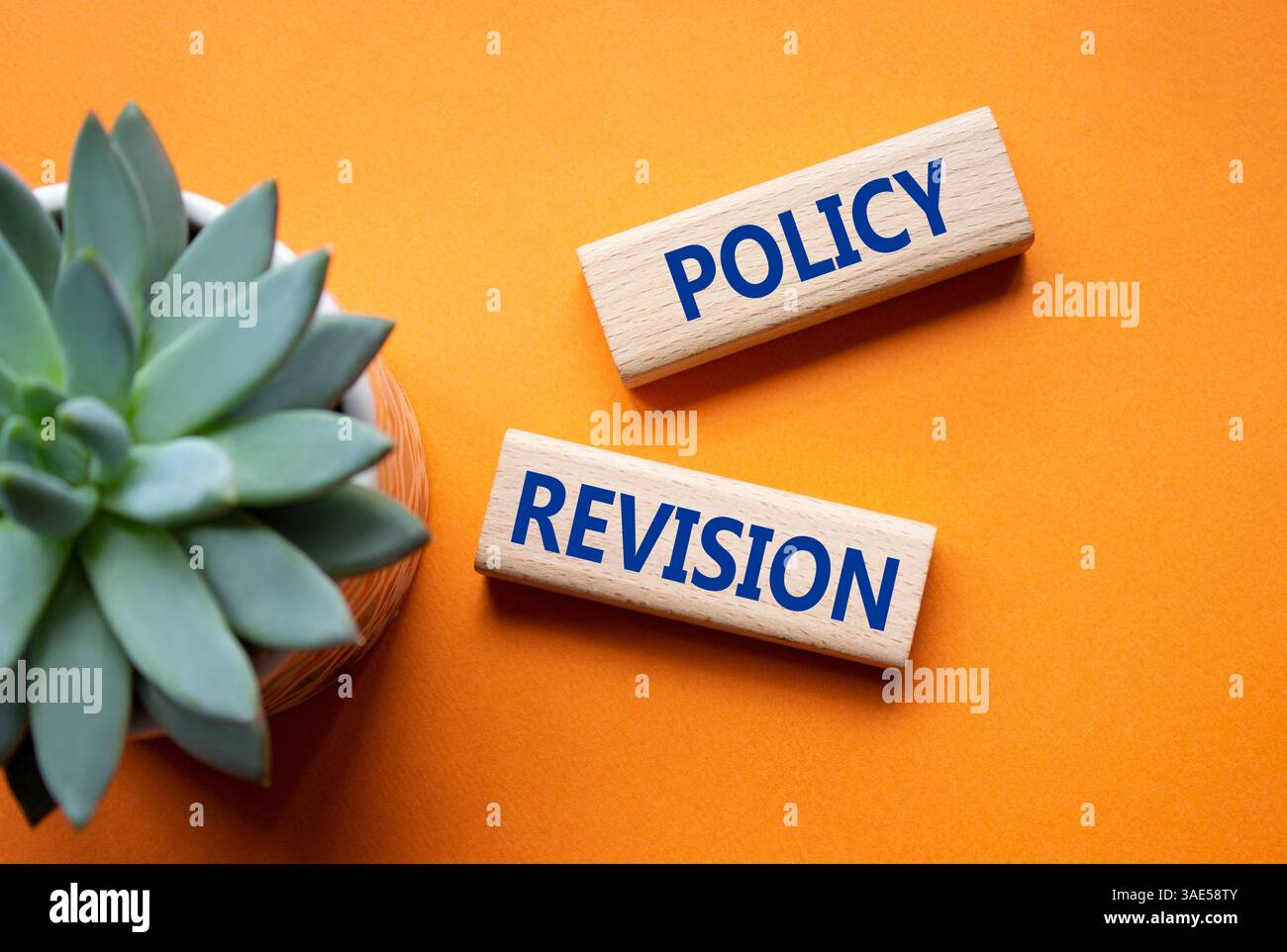 Policy revision symbol. Concept word Policy revision on wooden blocks ...