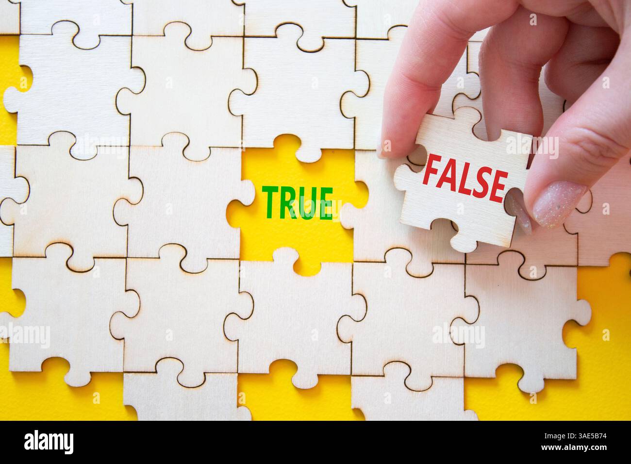 True or False symbol. Concept word True or False on wooden puzzle ...