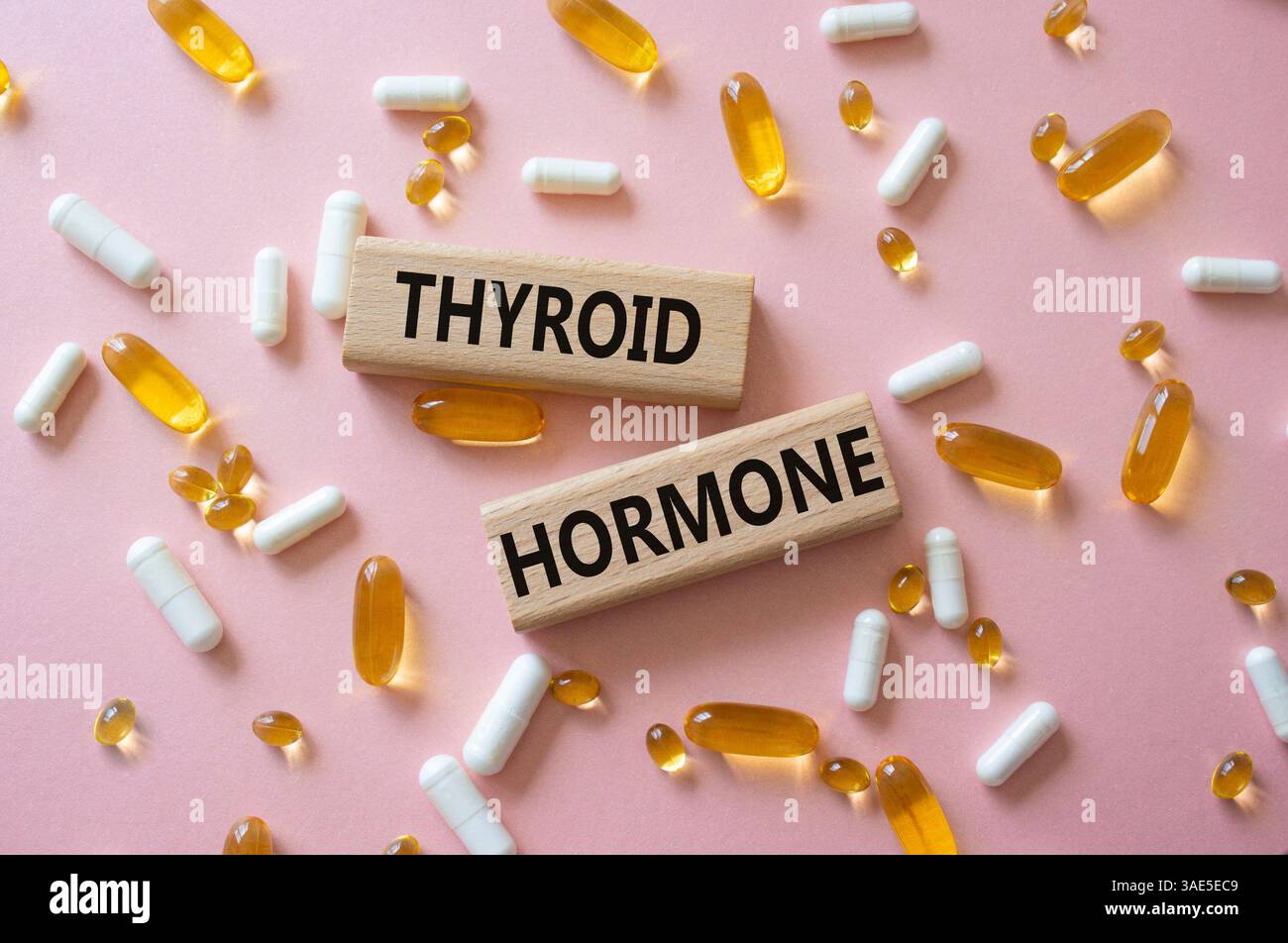 Thyroid Hormone symbol. Concept word Thyroid Hormone on wooden blocks ...