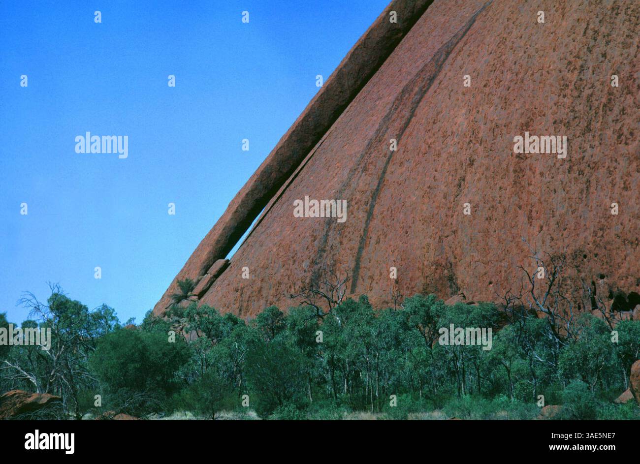Aborigine family photo hi-res stock photography and images - Alamy