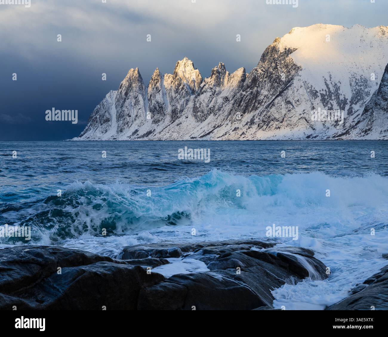 Okshornan verschwunden hi-res stock photography and images - Alamy