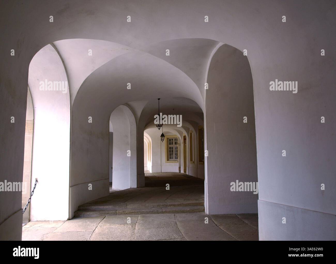 The symmetric column path of Monrepos Stock Photo - Alamy