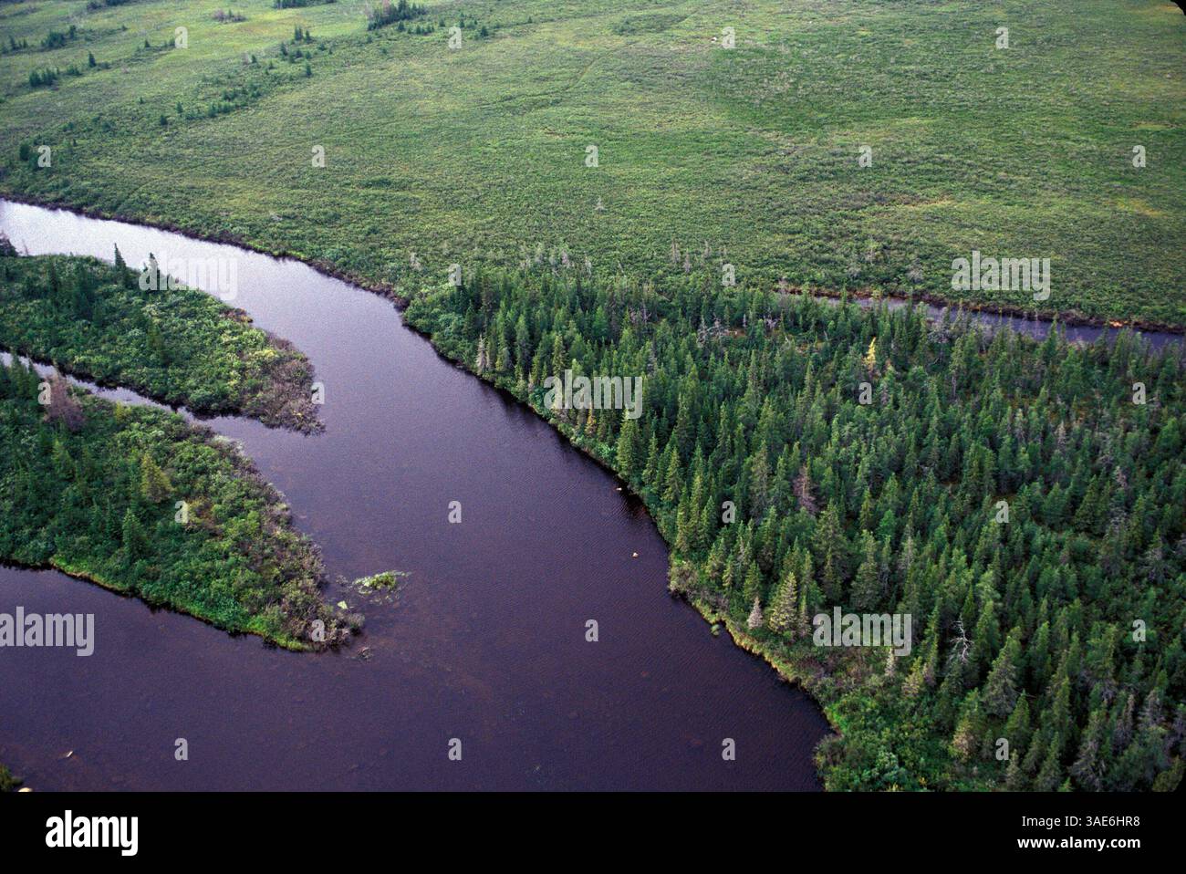 Aerial views tundra taiga ecosystem hi-res stock photography and images ...