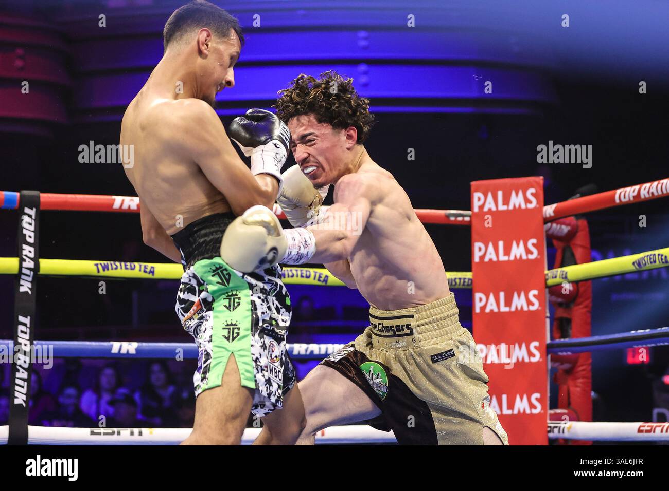 April 5, 2025: (R-L) Junior Bantamweight Steven Navarro punches Juan ...