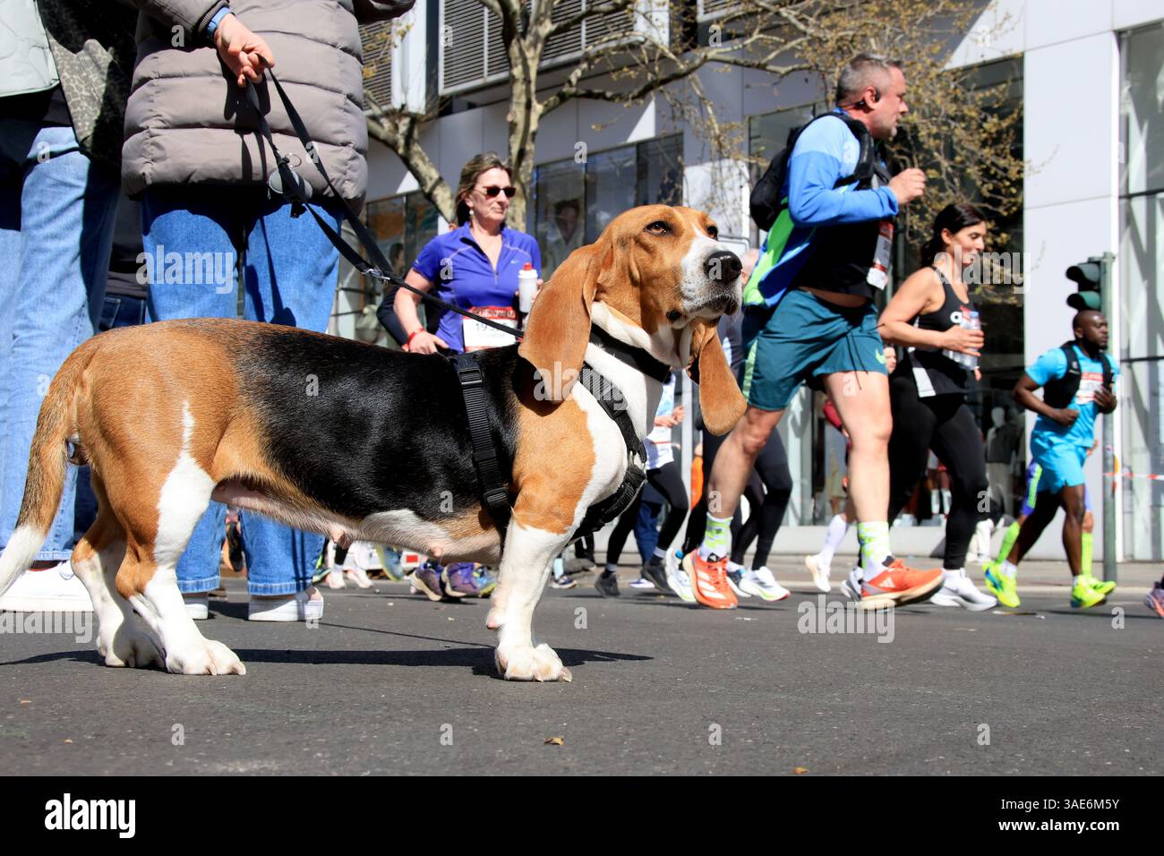 Berlin, Deutschland. 06th Apr, 2025. 06.04.2025, Berlin, Berlin, DEU ...
