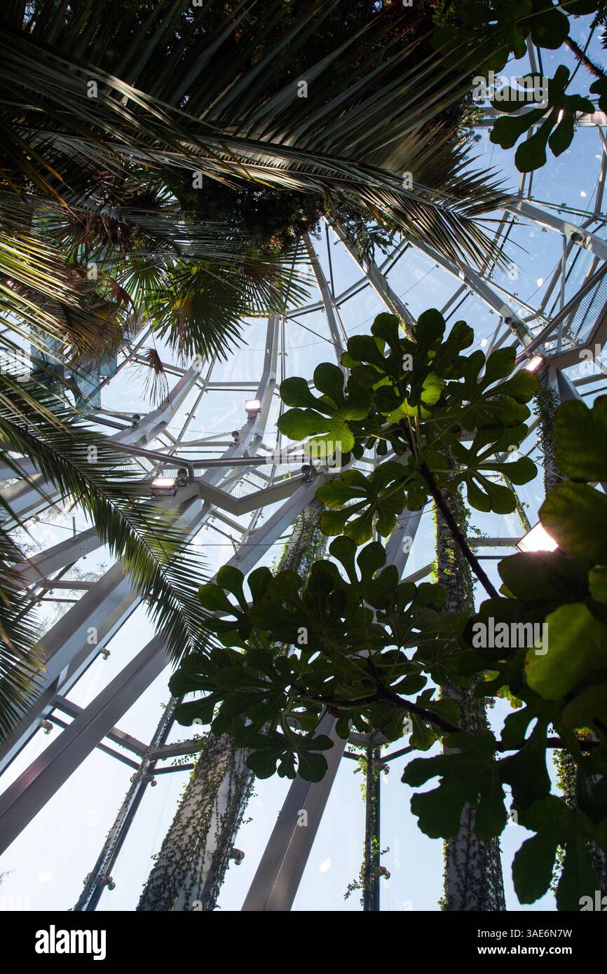 Palmiarnia parku oliwskiego hi-res stock photography and images - Alamy