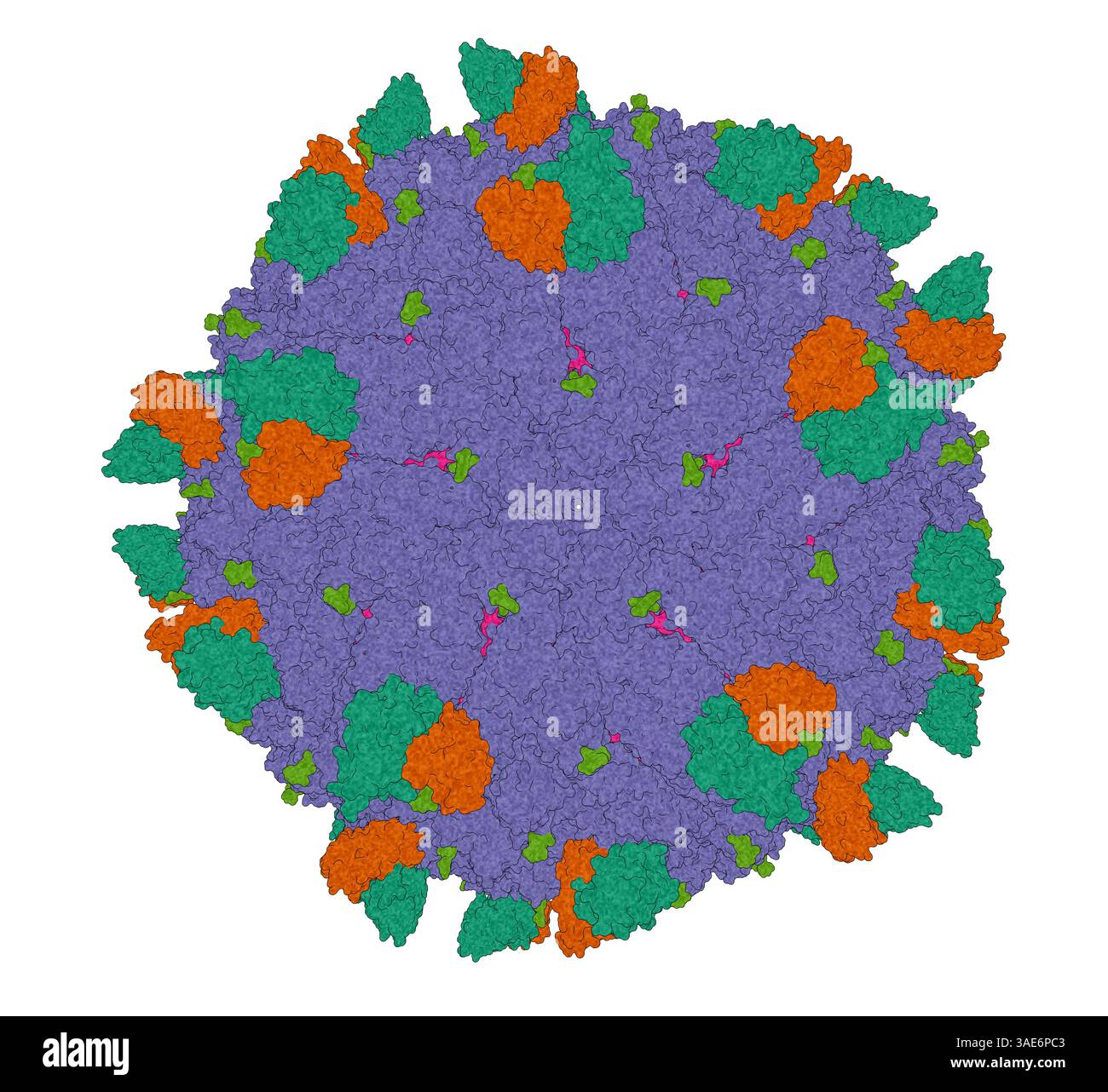 Color-coded 3D render of a viral capsid with detailed protein ...