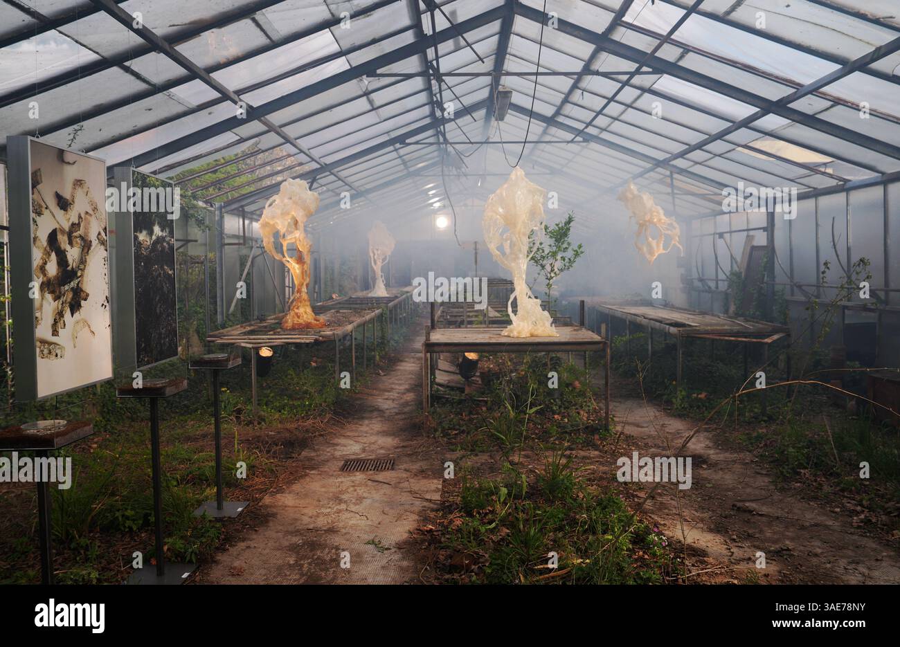 Varedo, Italy. 06th Apr, 2025. Varedo, Alcova new location Serre di ...