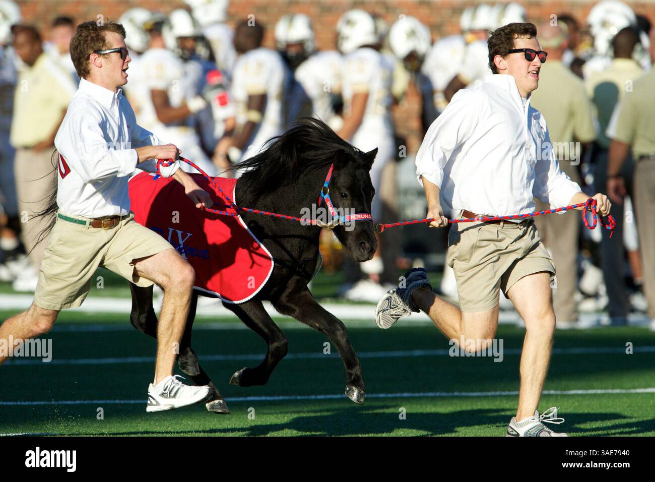 October 15, 2011-- Peruna IX debuts as the new mascot as SMU hosts ...