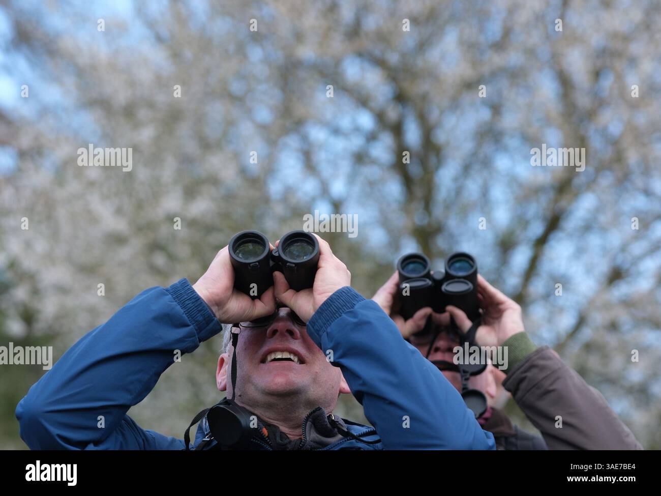 06 April 2025, Saxony-Anhalt, Halle (Saale): Hobby ornithologists ...