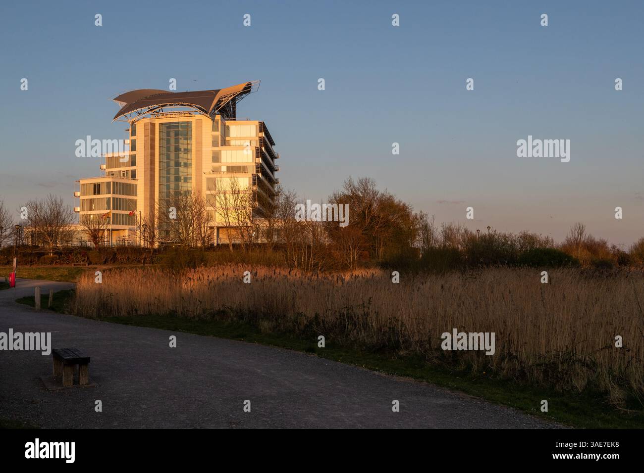 voco St David's Hotel, Cardiff Bay, Cardiff Stock Photo - Alamy