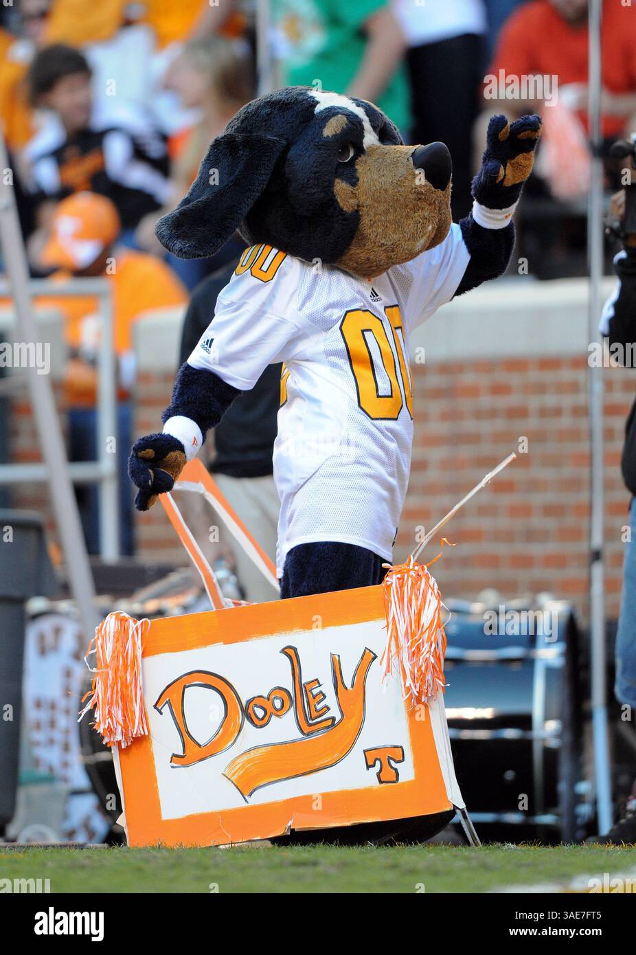 Neyland stadium smokey hi-res stock photography and images - Alamy