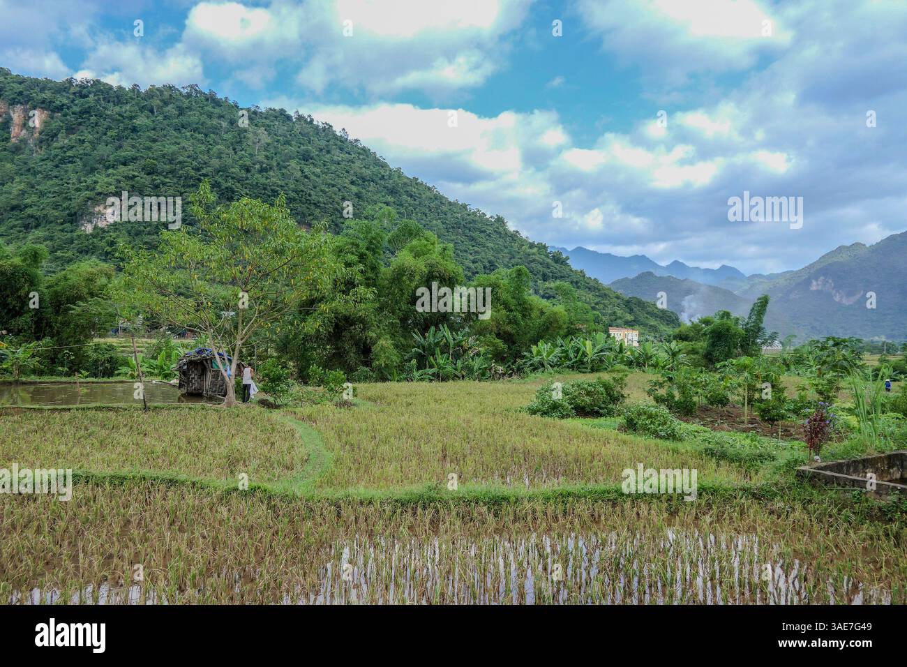 Mai Chau, Vietnam, October 23, 2025. The Mai Chau Valley and its ...