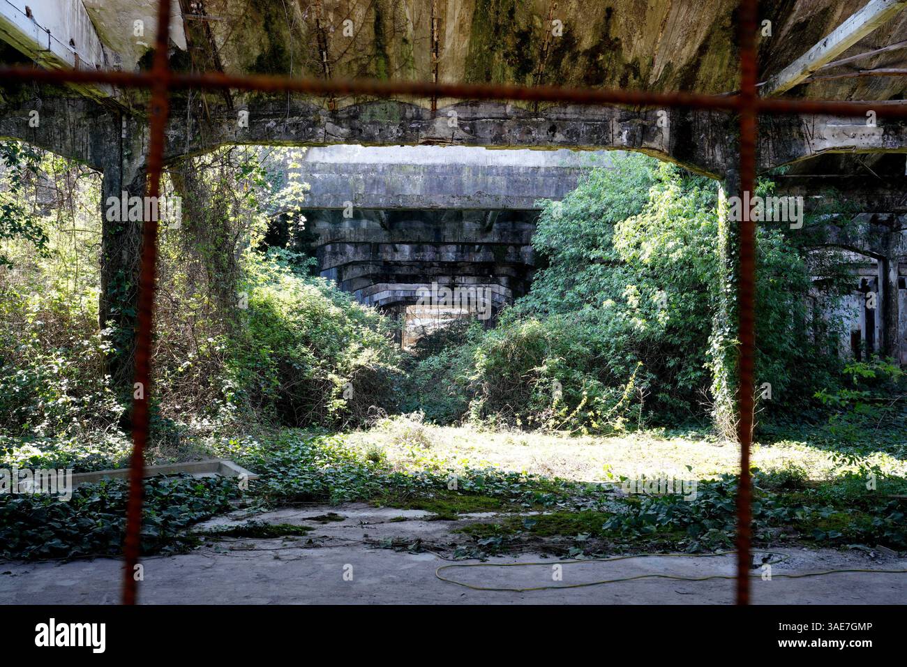 Varedo, Italy. 06th Apr, 2025. Varedo, Alcova new location Ex Fabbrica ...