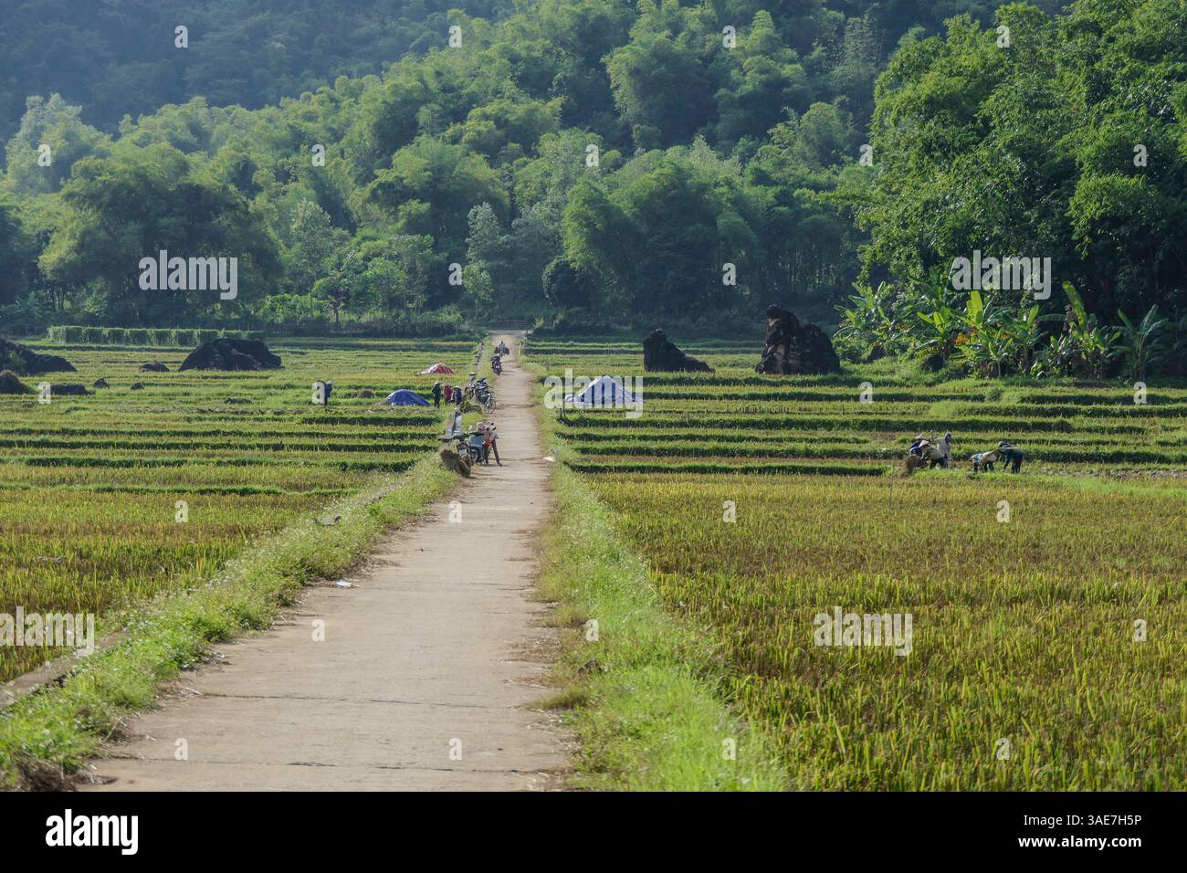 Mai Chau, Vietnam, October 23, 2025. The Mai Chau Valley and its ...