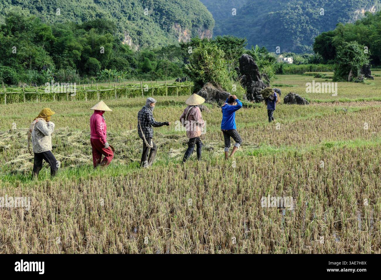 Mai Chau, Vietnam, October 23, 2025. The Mai Chau Valley and its ...