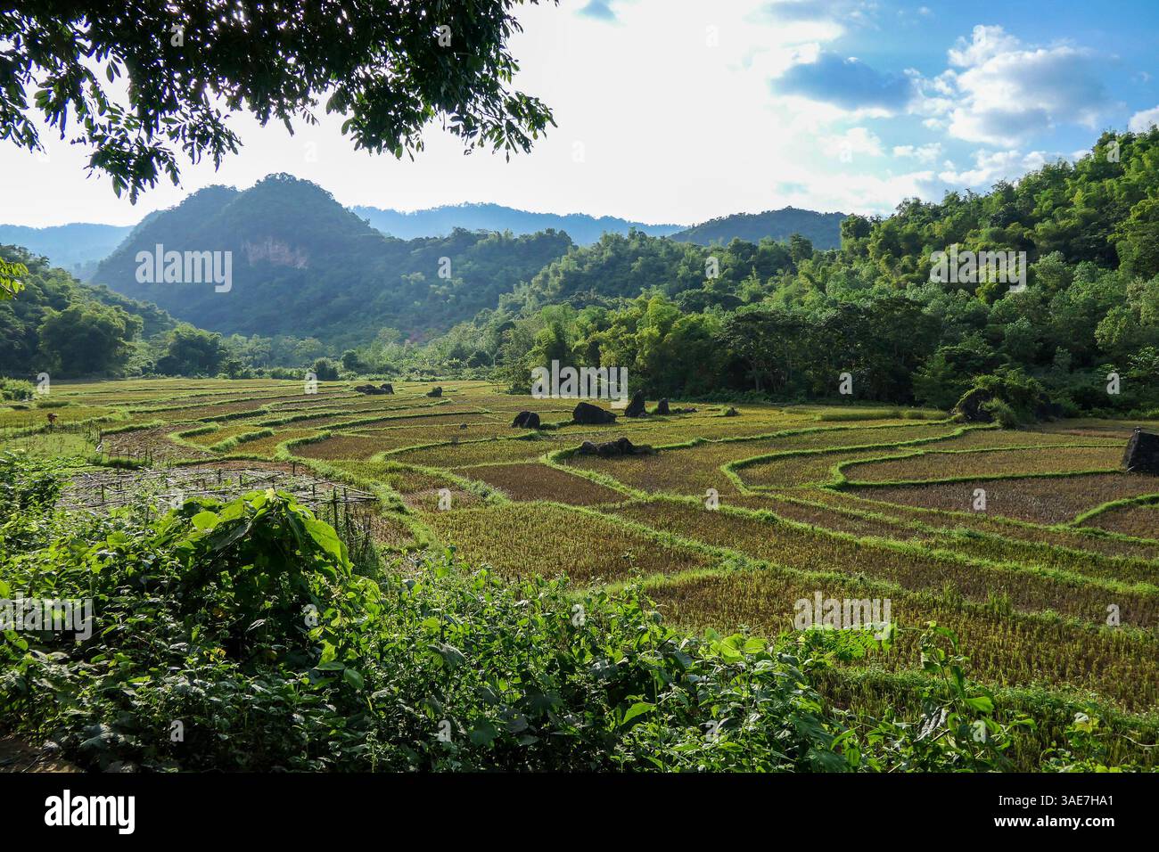 Mai Chau, Vietnam, October 23, 2025. The Mai Chau Valley and its ...