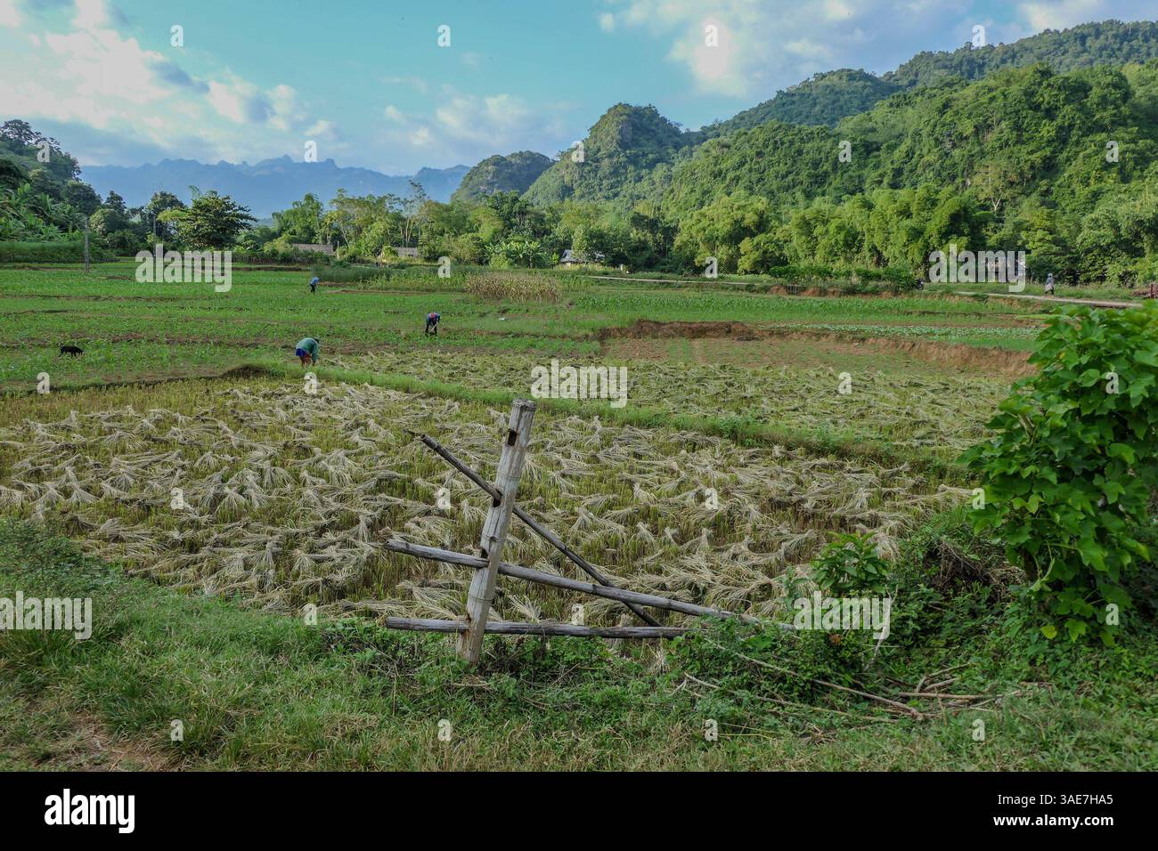 Mai Chau, Vietnam, October 23, 2025. The Mai Chau Valley and its ...