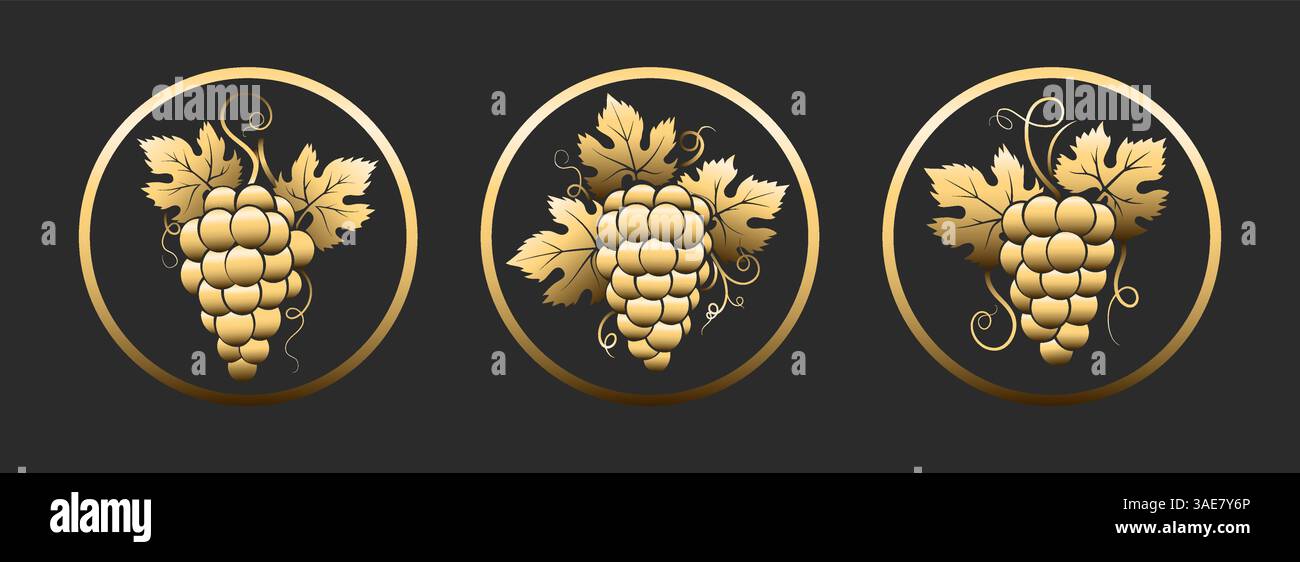 Vintage golden grapes emblem set Stock Vector Image & Art - Alamy
